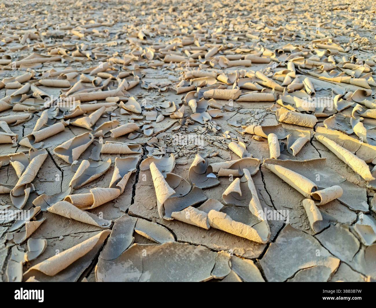Mud flakes and cracked mud at the foot of Bahrain's Tree of Life Stock ...