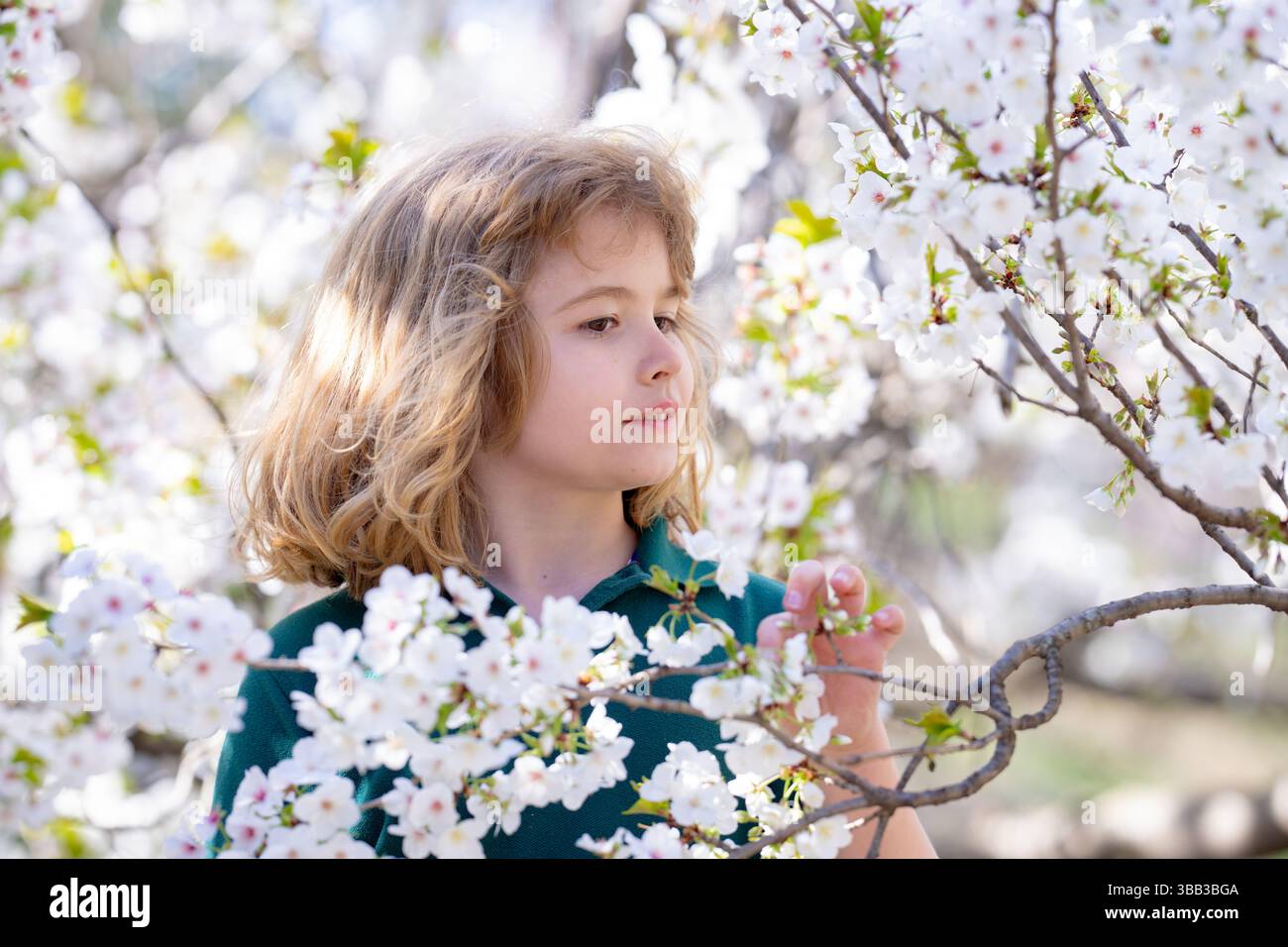 Kid in spring cherry blossom park. Happy childhood. Spring holidays ...
