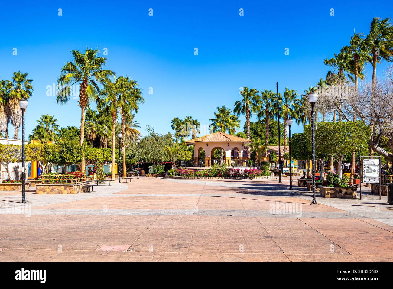 Wide and empty main square esplanade lined with palm trees against blue ...