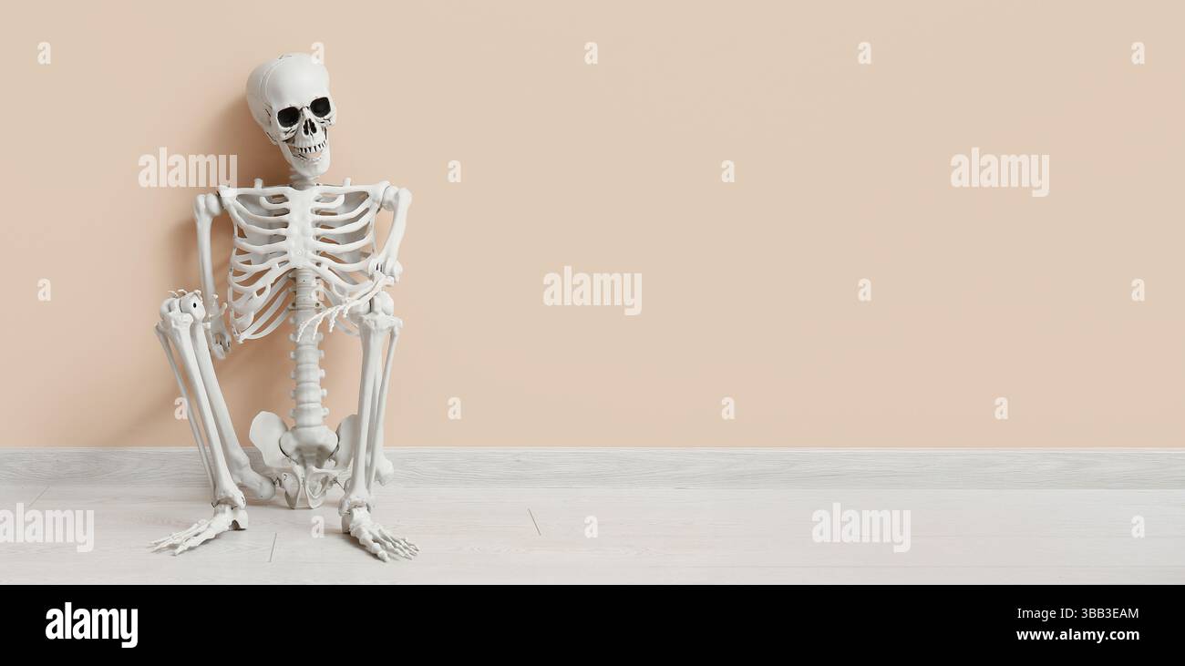 Human skeleton sitting on floor near beige wall. Banner for design ...