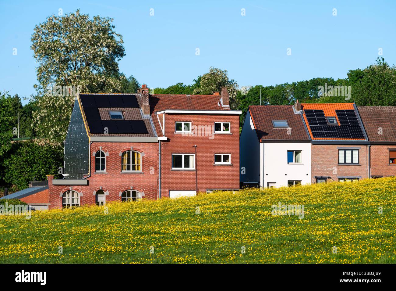 Houses in a row and buttercup flowers blooming in green meadow in Lot ...