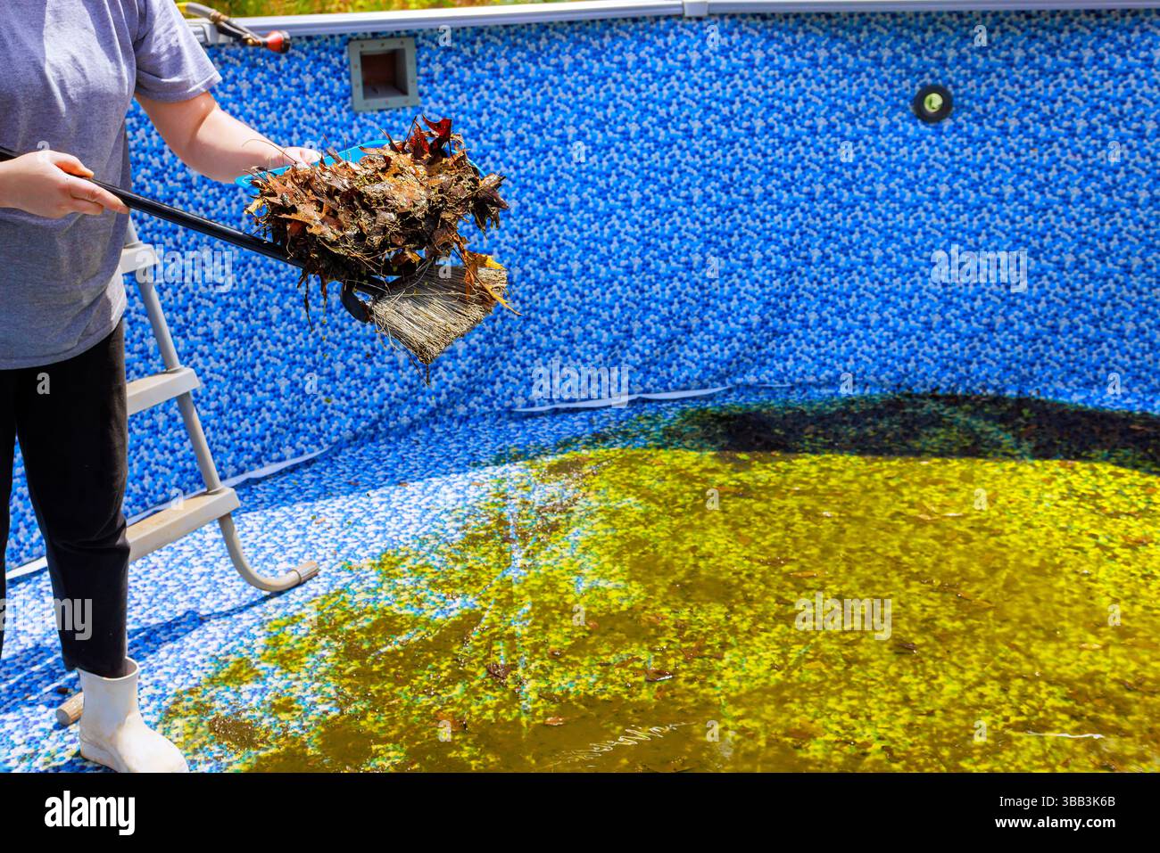 Person uses broom to remove leaves from swimming pool filled with green ...