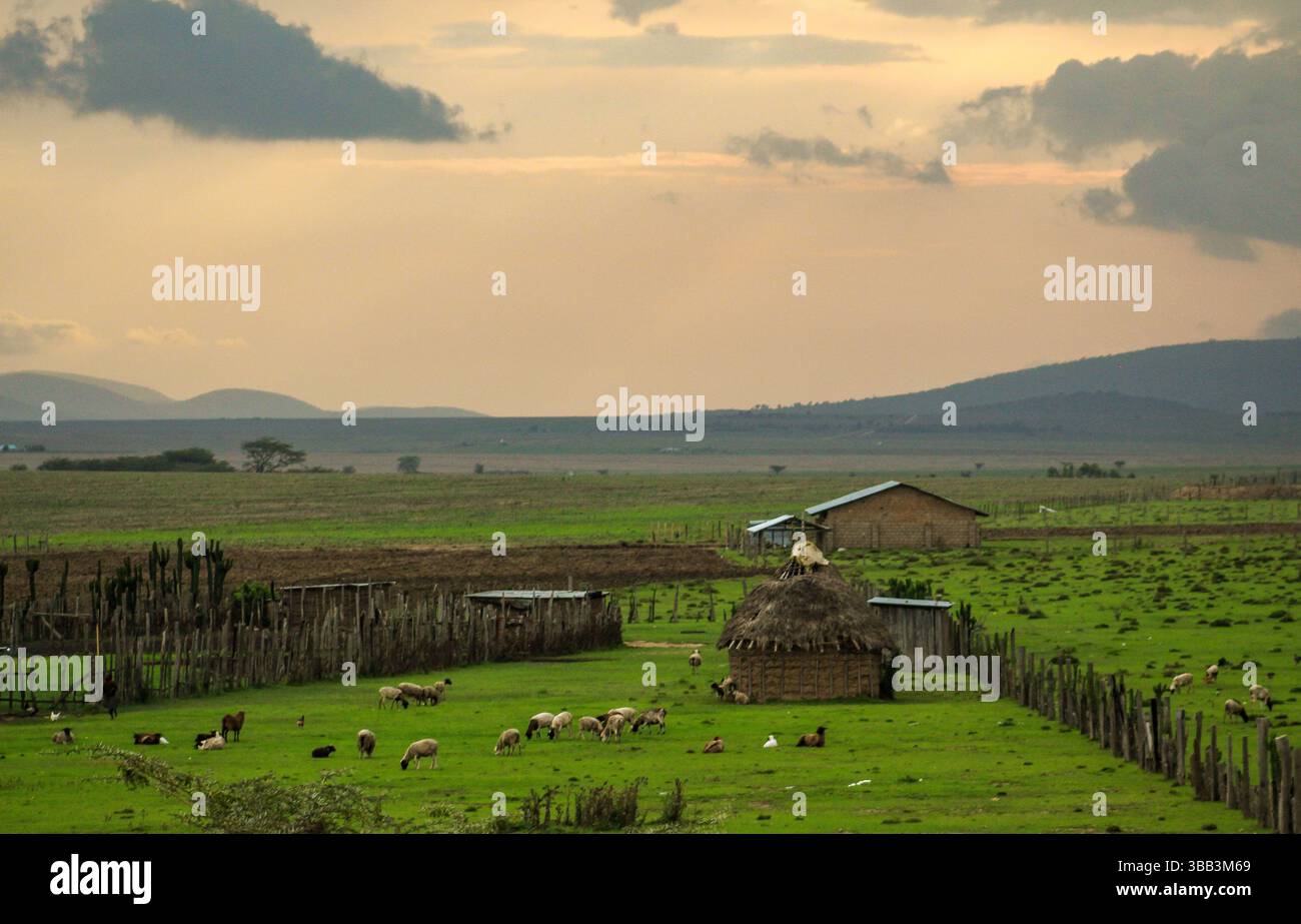 Small community farm people hi-res stock photography and images - Alamy