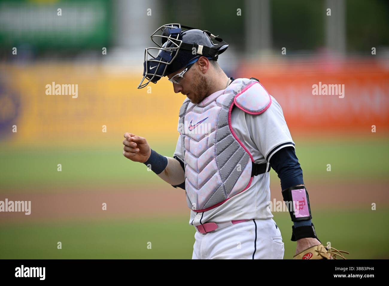 Tampa Bay Rays catcher Danny Jansen walks back to home plate during the ...