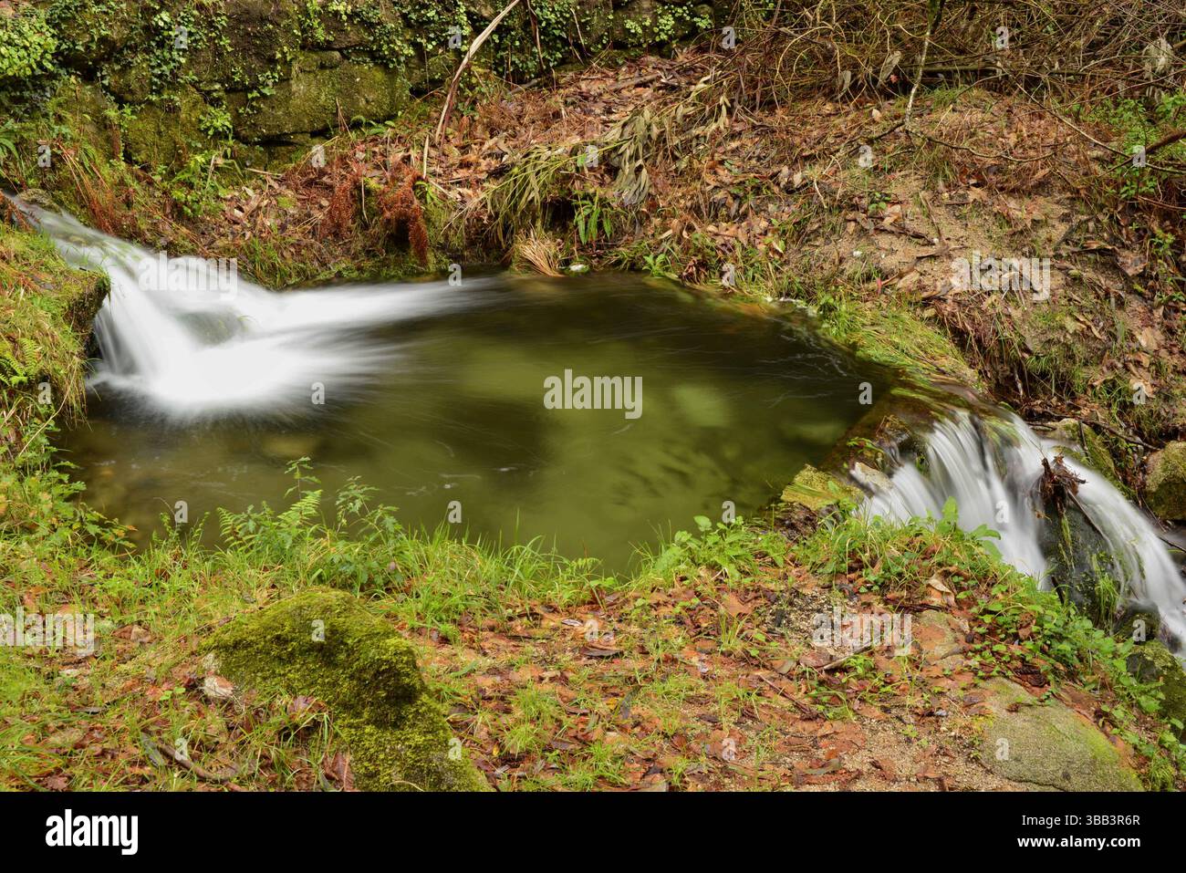 Water cycle, brook flowing in small waterfalls in the mountains of ...