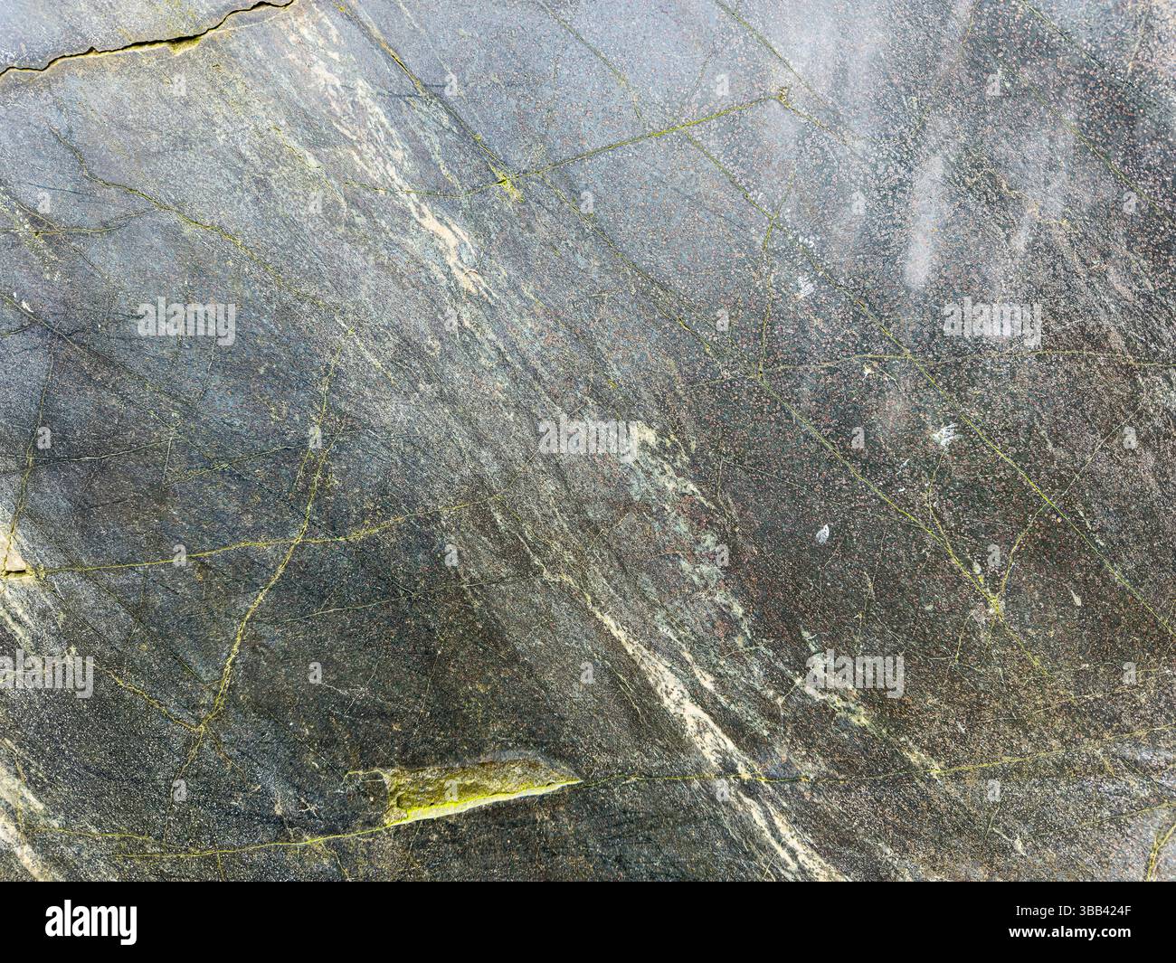 Cracked rock surface with visible veins and moss growth Stock Photo - Alamy