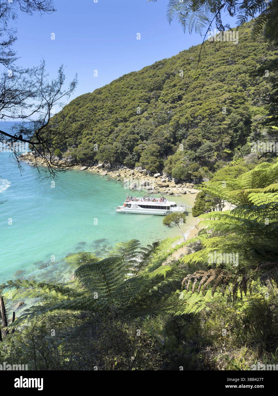 Medlands Beach on the coastal footpath from MArahau, Abel Tasman National Park, South Island ...