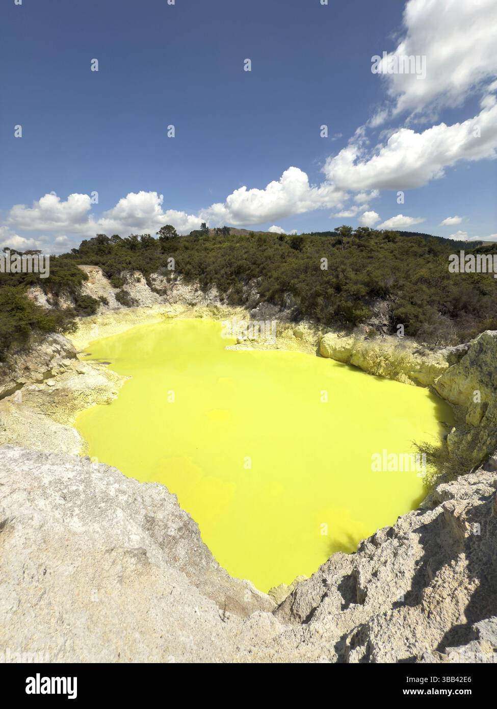 Yellow lake on the Waiotapu Thermal Track in the colourful geothermal ...