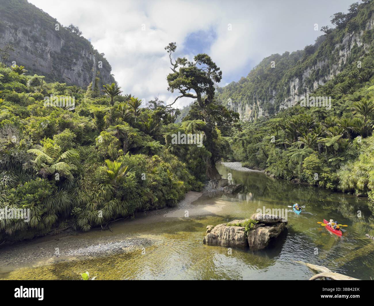 Paddle boats on the Pororari River Track, Paparoa National Park, South ...
