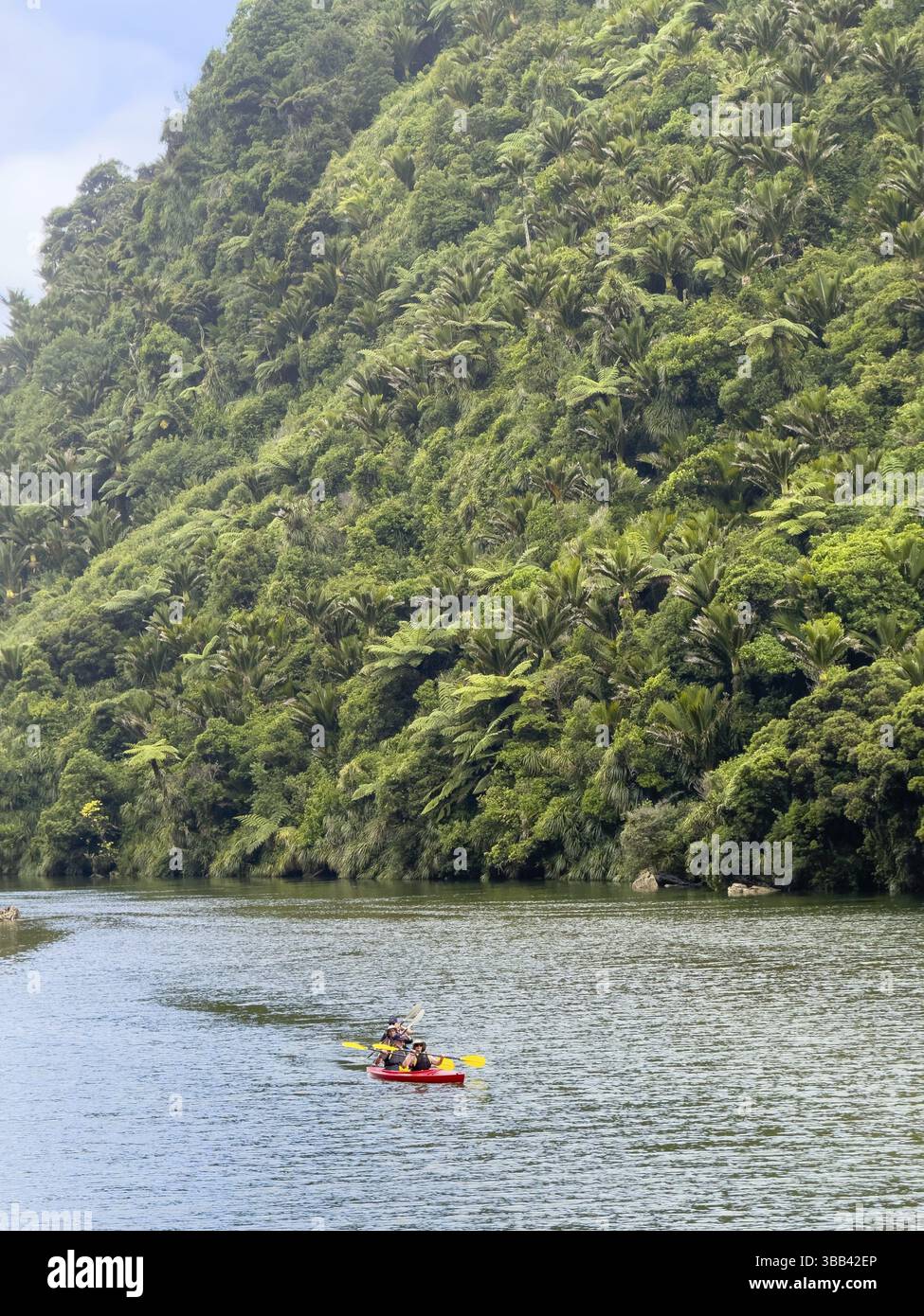 Paddle boats on the Pororari River Track, Paparoa National Park, South ...