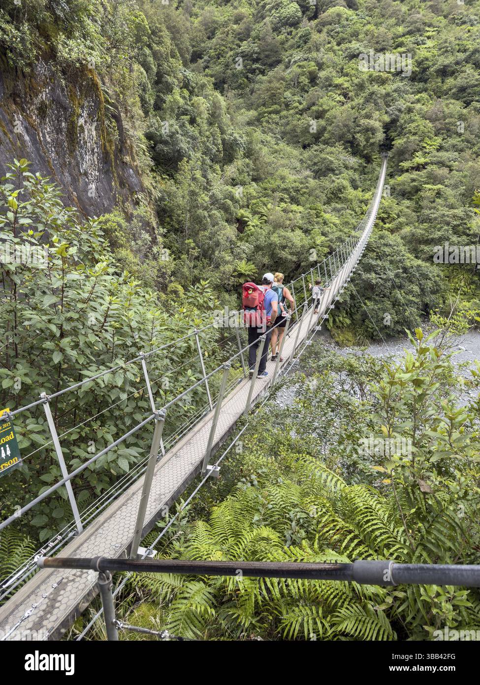Suspension bridge on the hiking trail of the Roberts Point Track at ...
