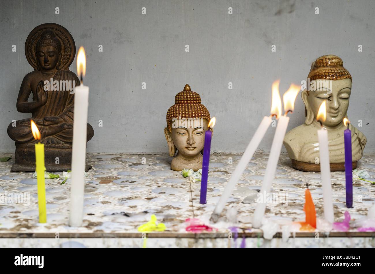 Devotees pray to Lord Buddha on the occasion of Buddha Purnima or Vesak ...