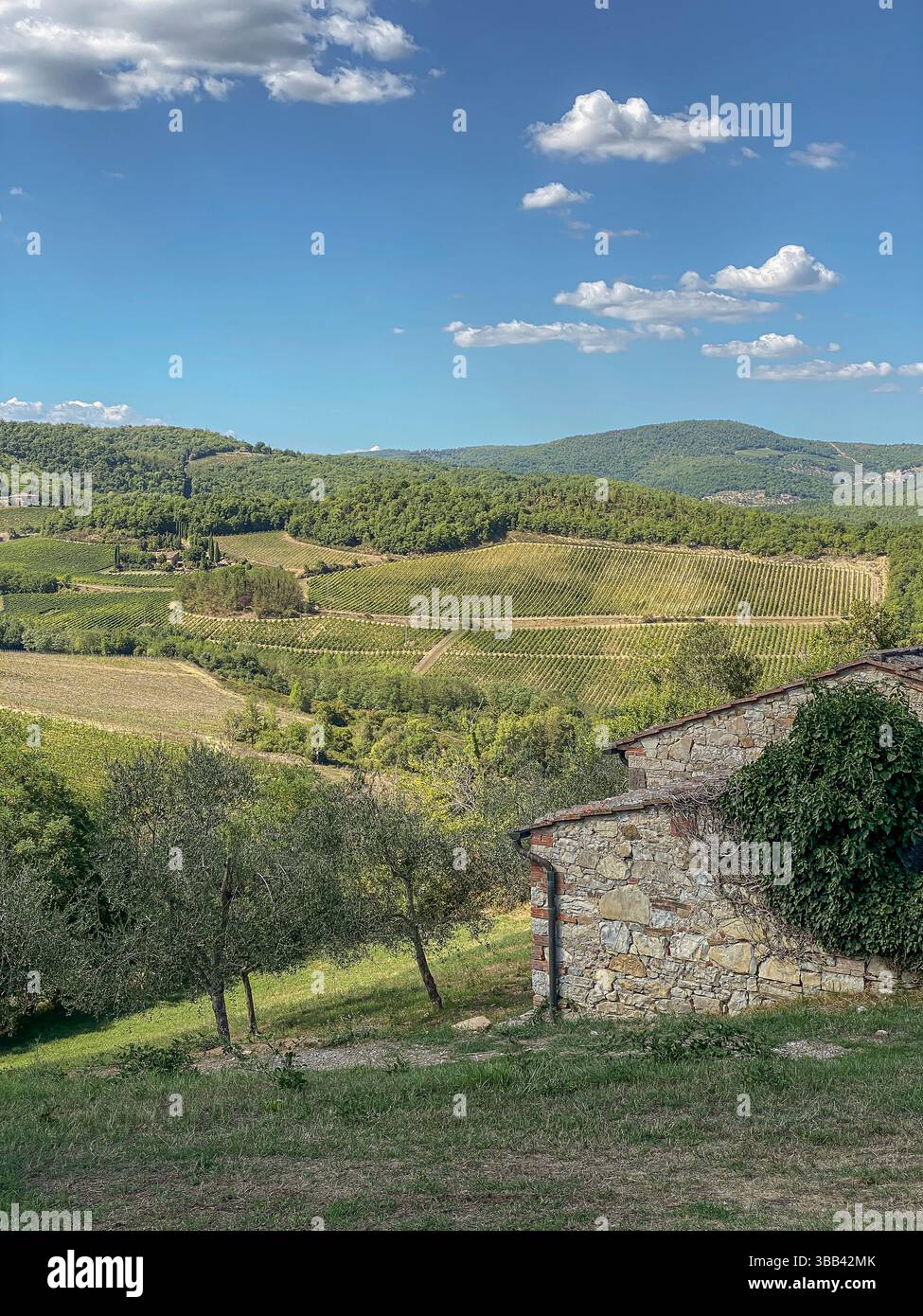 Rolling hills with vineyards, olive trees, and a rustic stone building ...