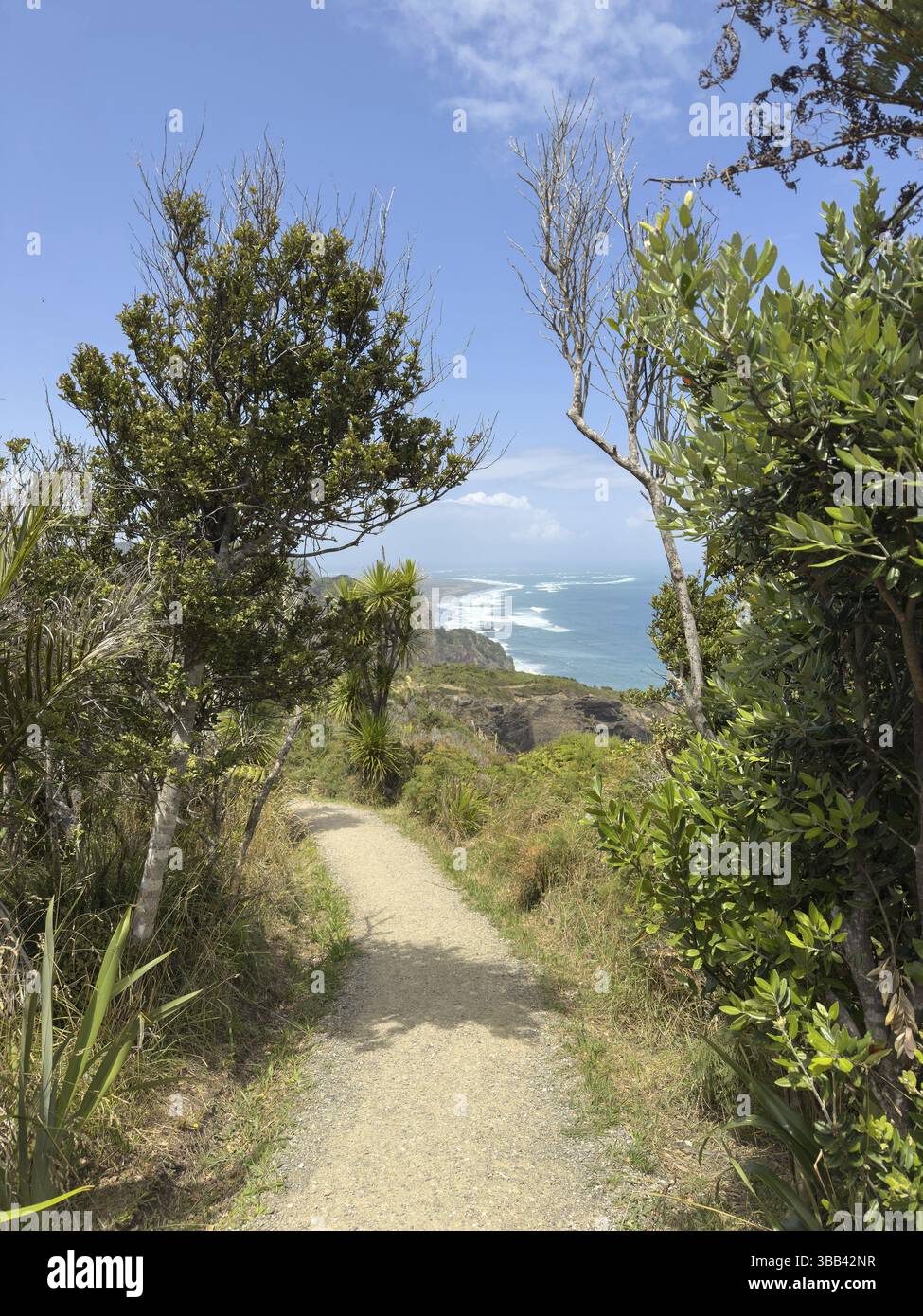 Hiking trail with views of the turquoise blue sea and wild vegetation ...
