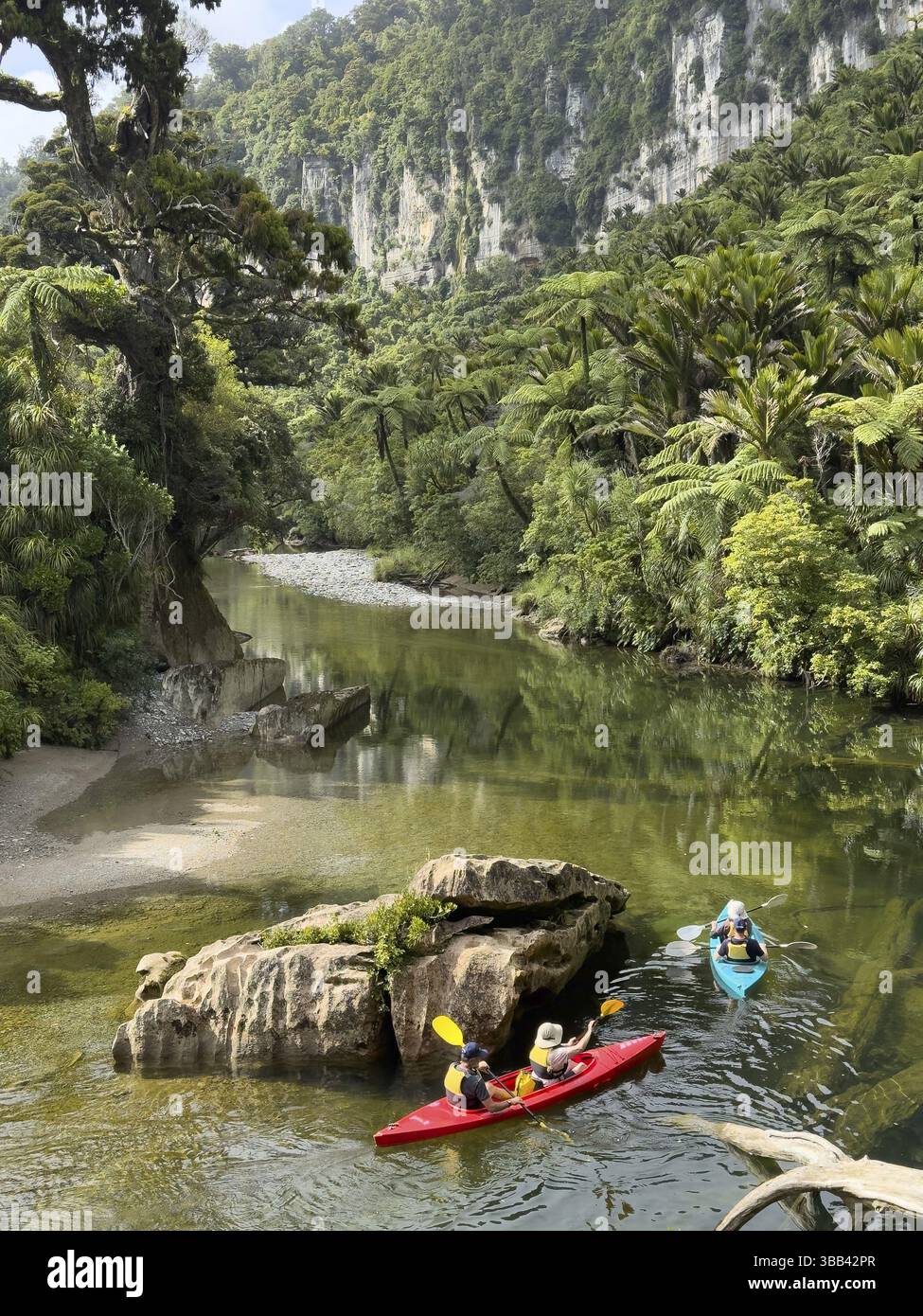 Paddle boats on the Pororari River Track, Paparoa National Park, South ...