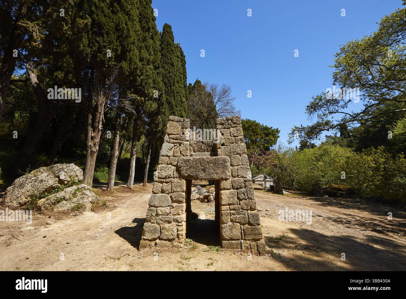 Old stone ruins surrounded by tall trees under a bright blue sky ...