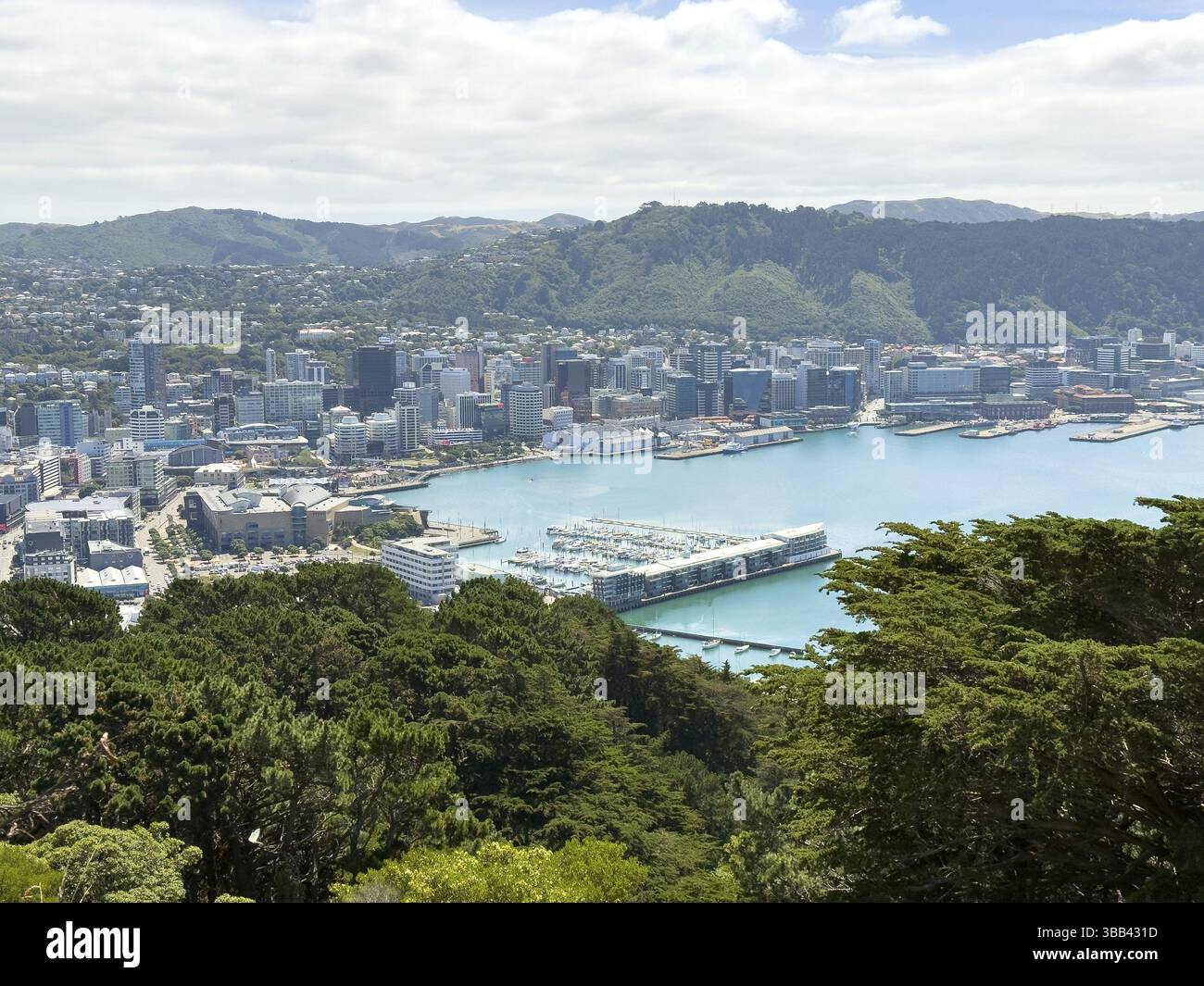 View from Mt Victoria Lookout with a view of the Wellington skyline ...