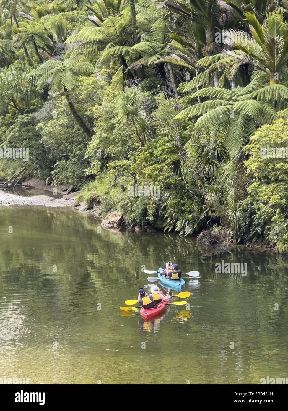 Paddle boats on the Pororari River Track, Paparoa National Park, South ...