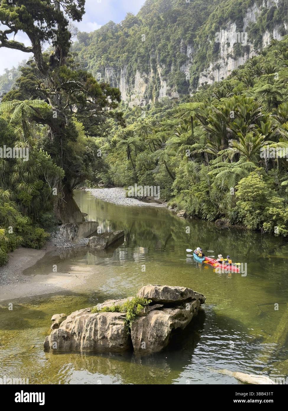 Paddle boats on the Pororari River Track, Paparoa National Park, South ...