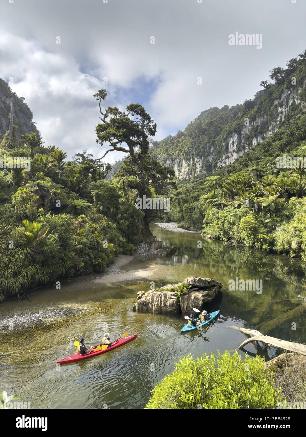 Paddle boats on the Pororari River Track, Paparoa National Park, South ...