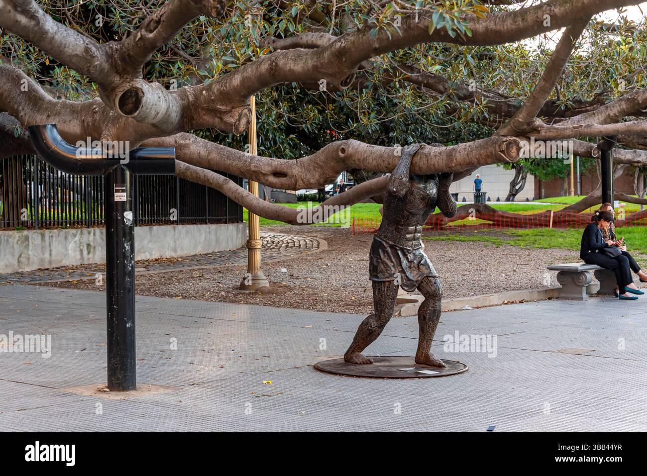 Rubber Tree at La Recoleta branch been sustained by Atlas Sculpture ...