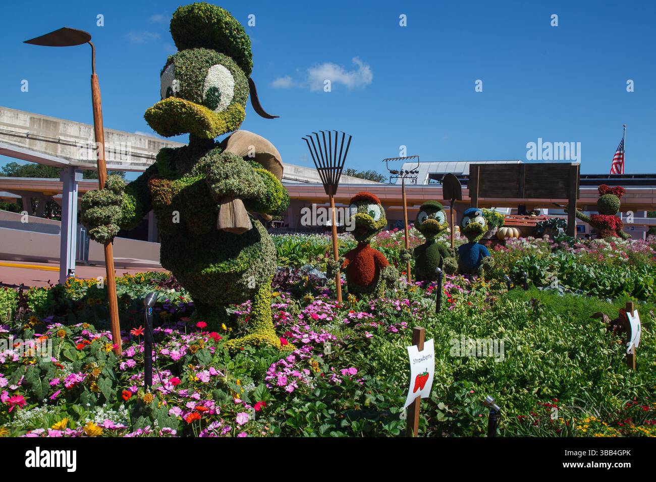 The Donald Duck and the nephews topiary garden, Epcot amusement park ...