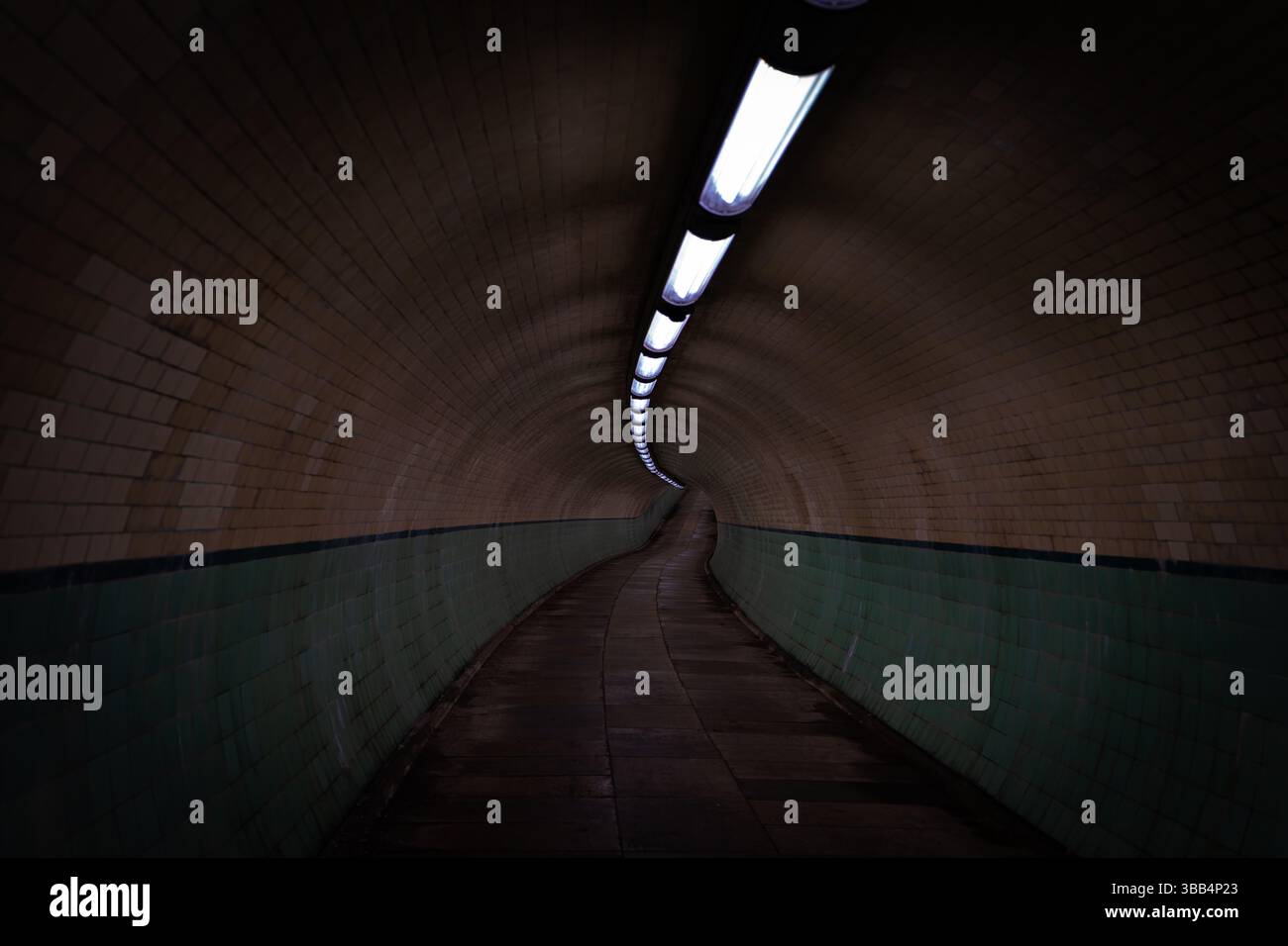 Curved tunnel perspective featuring illuminated tiled walls, evoking a ...