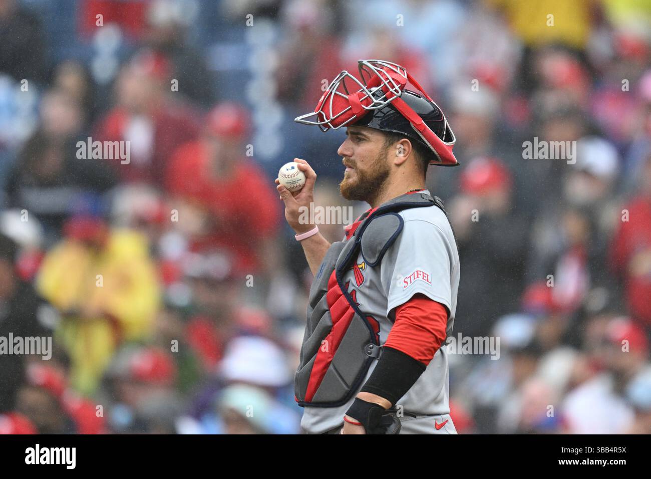 PHILADELPHIA, PA - MAY 14: St. Louis Cardinals catcher Pedro Pagés (43 ...