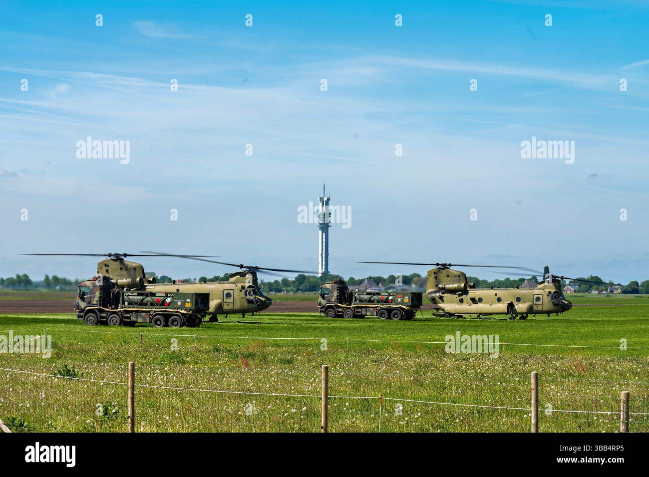 2025-5-14 Falcon Spring SINT NICOLAASGA, NETHERLANDS - MAY 14: Two ...