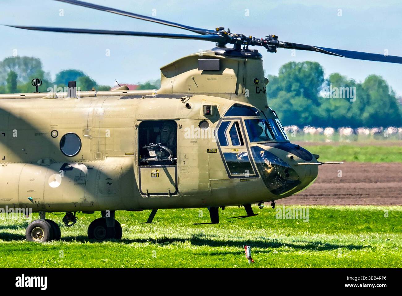 2025-5-14 Falcon Spring SINT NICOLAASGA, NETHERLANDS - MAY 14: Two ...