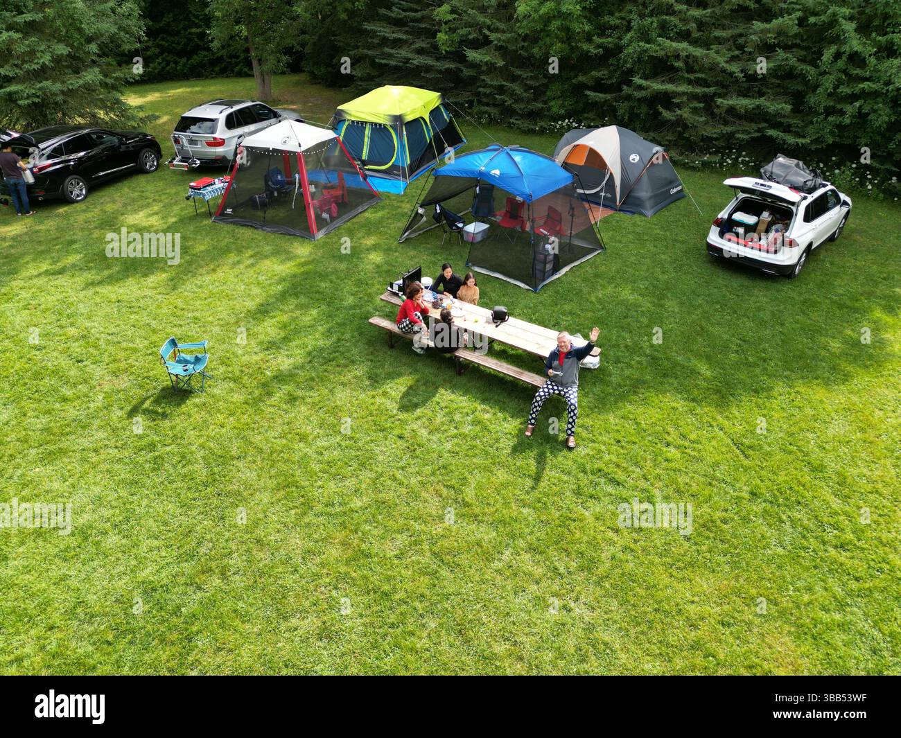 Aerial Views of Emily Provincial Park: Nature, Lake, and Adventure ...