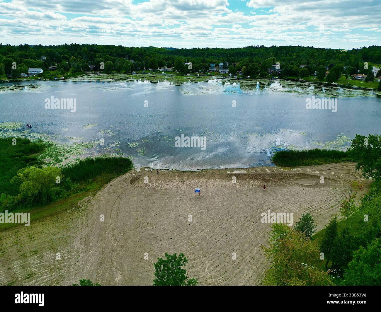 Aerial Views of Emily Provincial Park: Nature, Lake, and Adventure ...