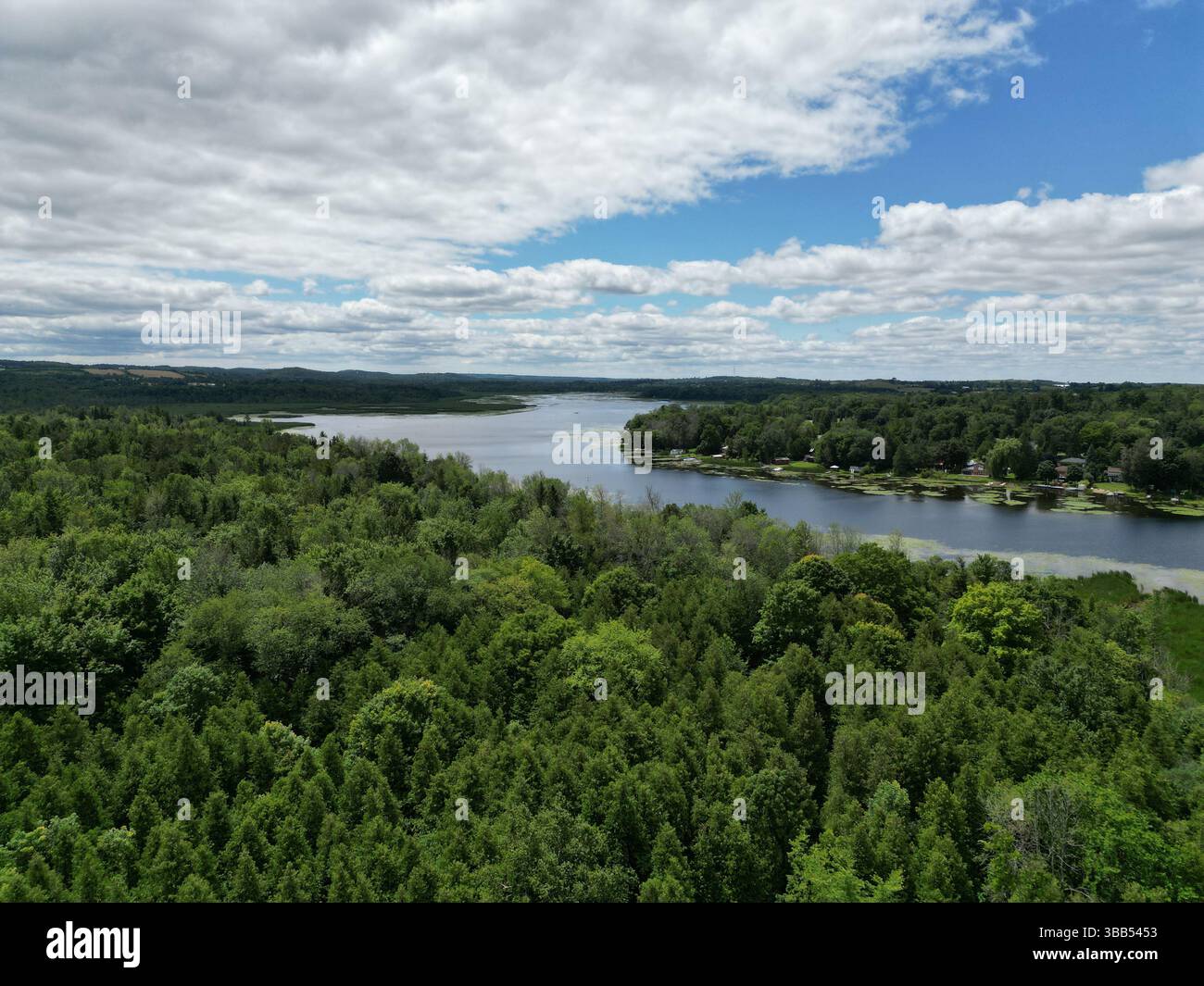 Aerial Views of Emily Provincial Park: Nature, Lake, and Adventure ...