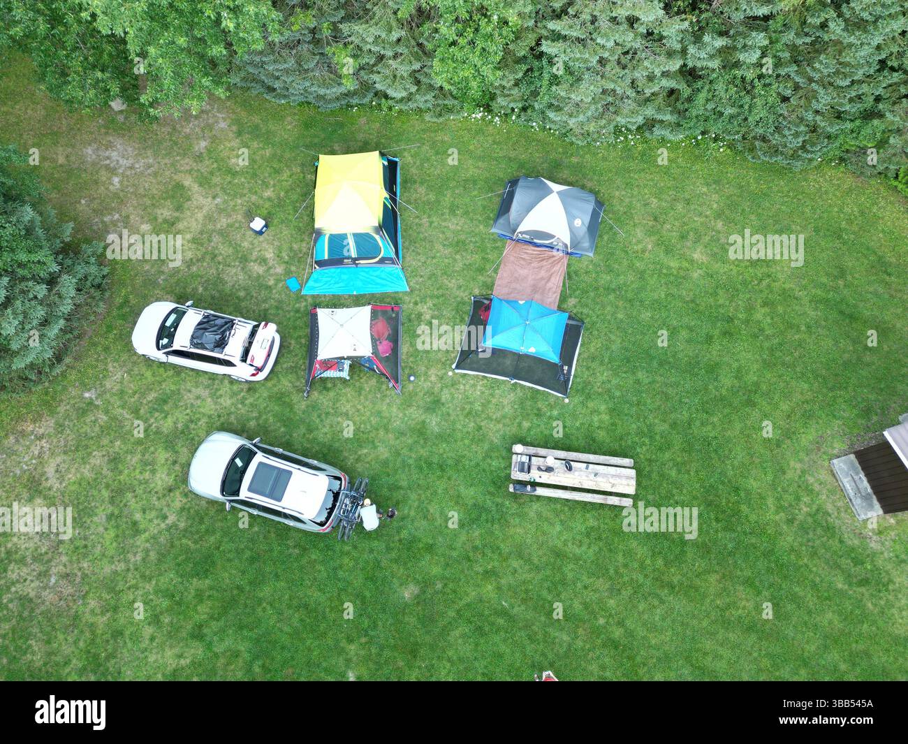 Aerial Views of Emily Provincial Park: Nature, Lake, and Adventure ...