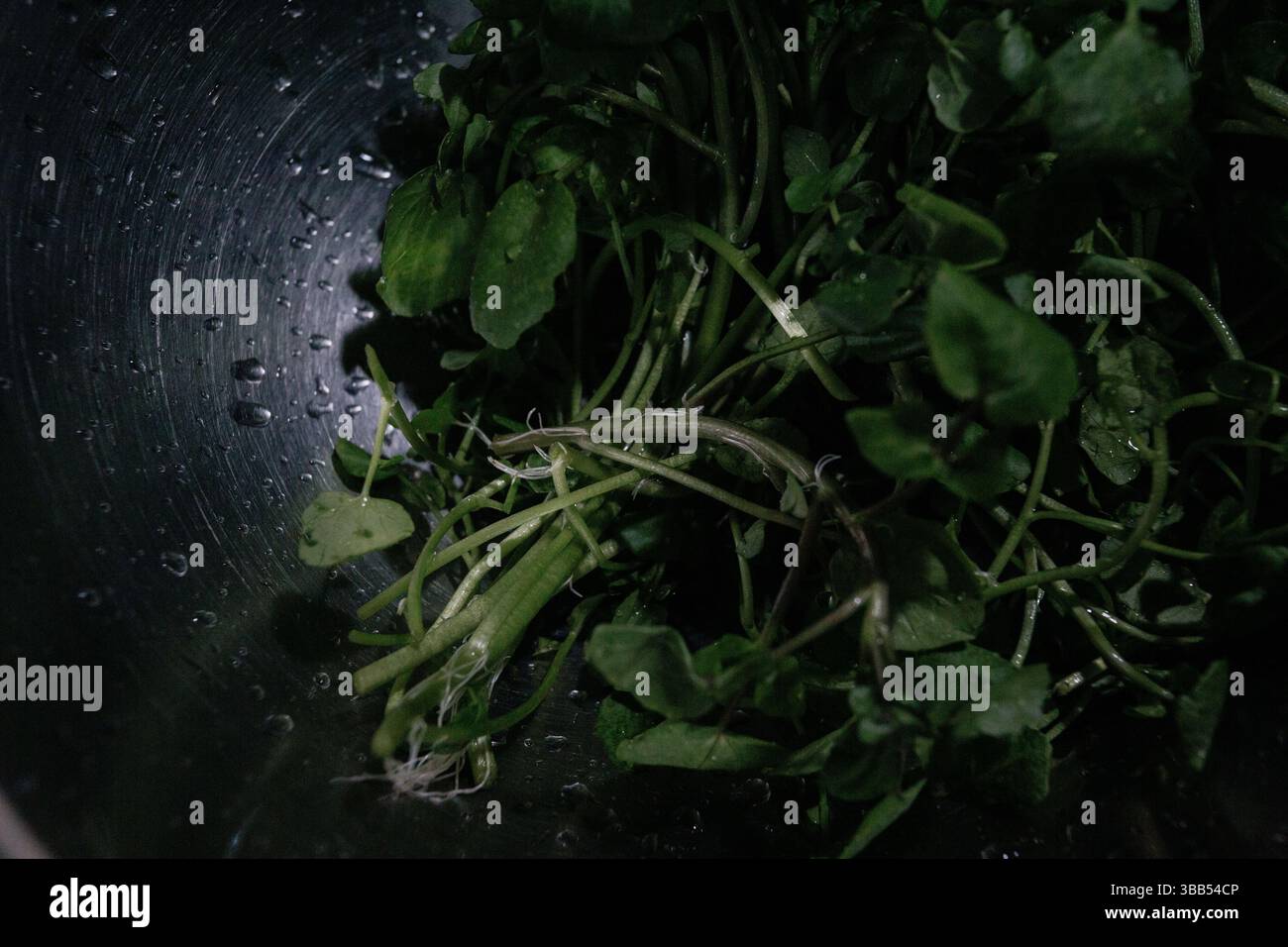 Asuncion, Paraguay, 14th May, 2025. Close up of raw watercress or ...