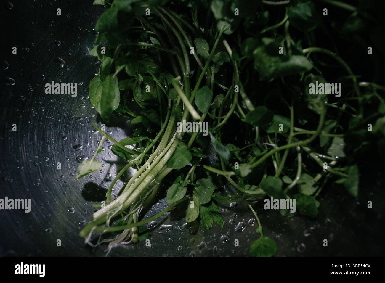 Asuncion, Paraguay, 14th May, 2025. Close up of raw watercress or ...