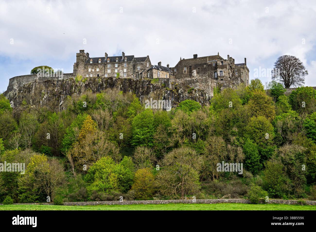 View of Stirling Castle from William Wallance Monument, Stirling ...