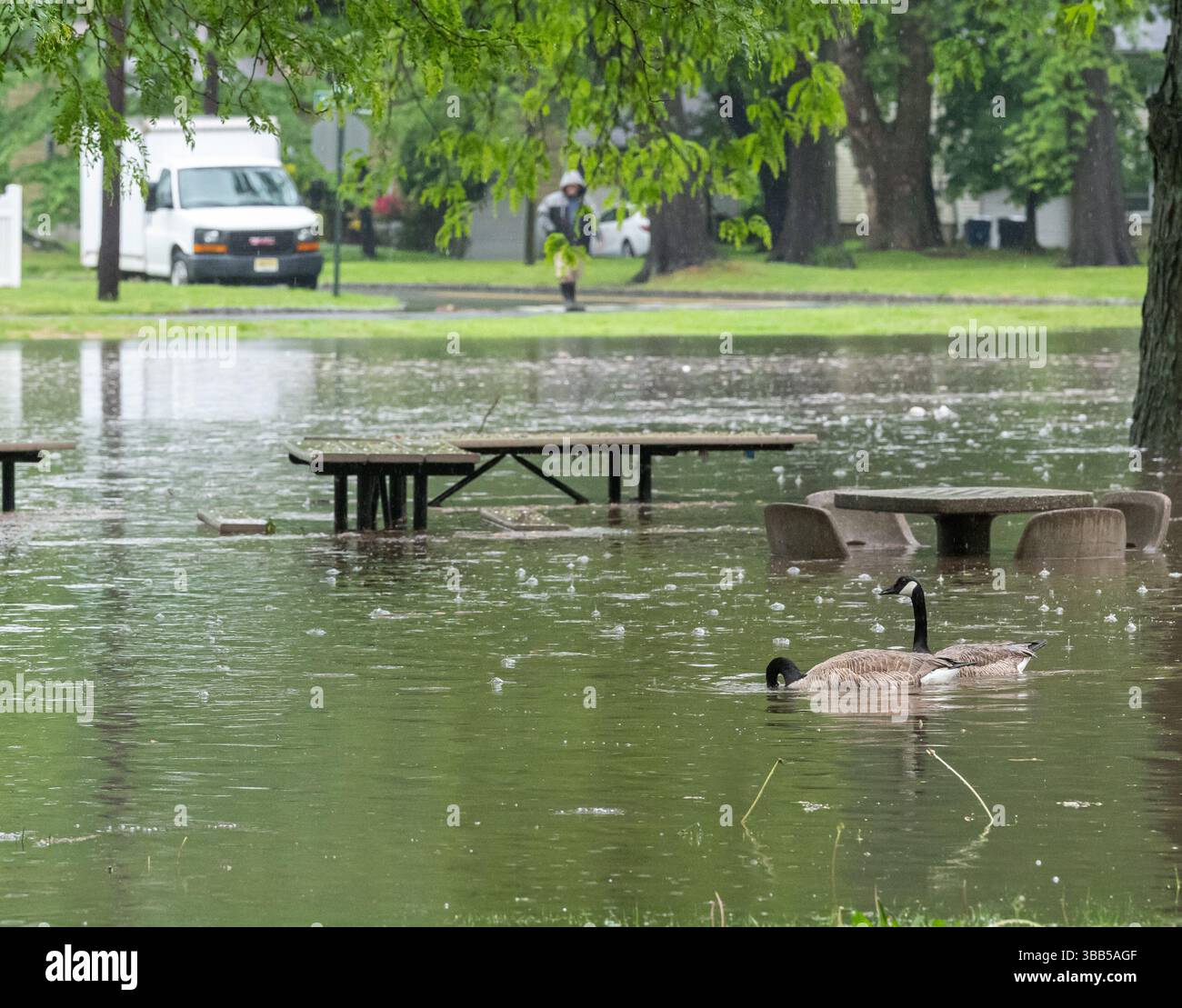 Plainfield, New Jersey, USA. 13th May, 2025. A Plainfield Resident ...