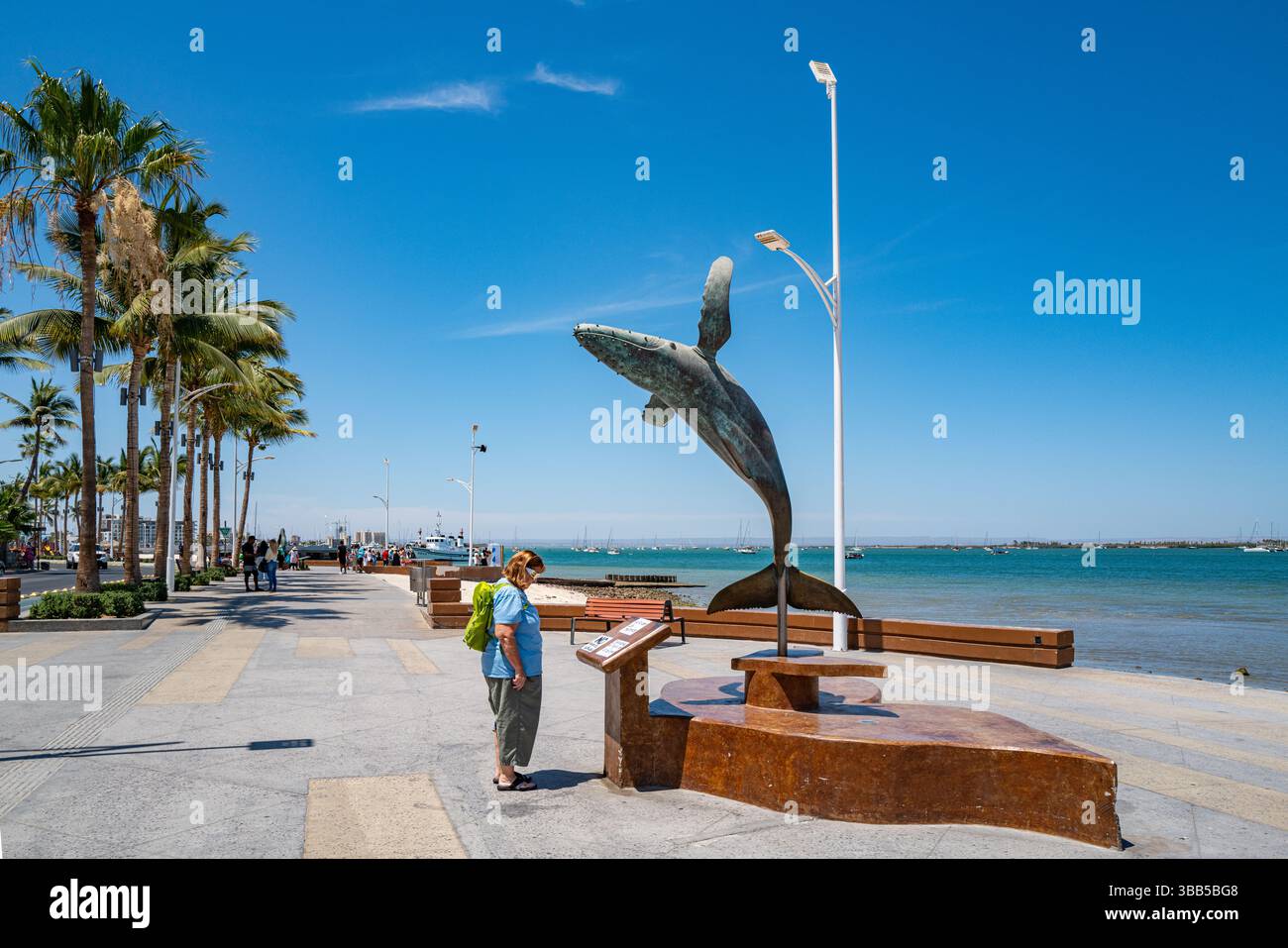 Tourist De Calvert looks at the whale sculpture on the Malecon ...