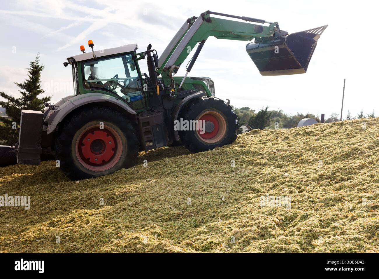 Production of fodder in agricultural complex Stock Photo - Alamy