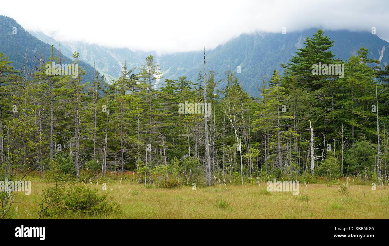 Summer Hiking Adventure on Mt. Yakedake in Kamikochi, Japan Stock Photo ...