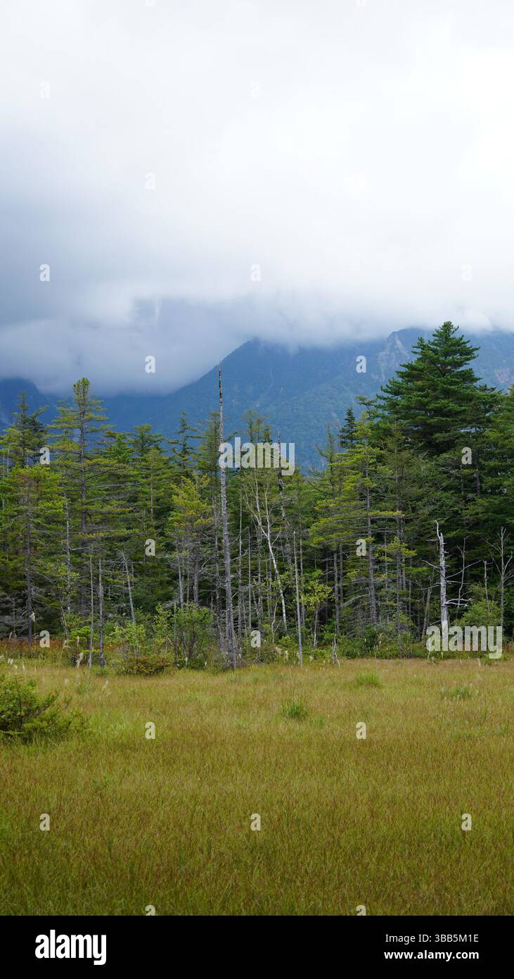 Summer Hiking Adventure on Mt. Yakedake in Kamikochi, Japan Stock Photo ...