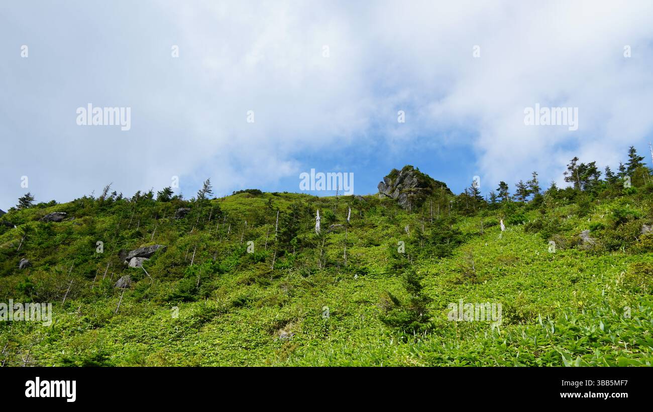 Summer Hiking Adventure on Mt. Yakedake in Kamikochi, Japan Stock Photo ...