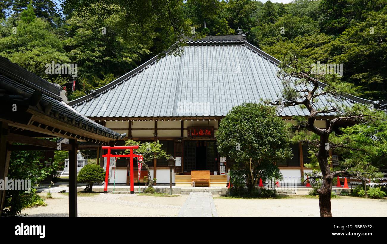 Temples of Nagoya in Summer — Serene Sacred Spaces Stock Photo - Alamy