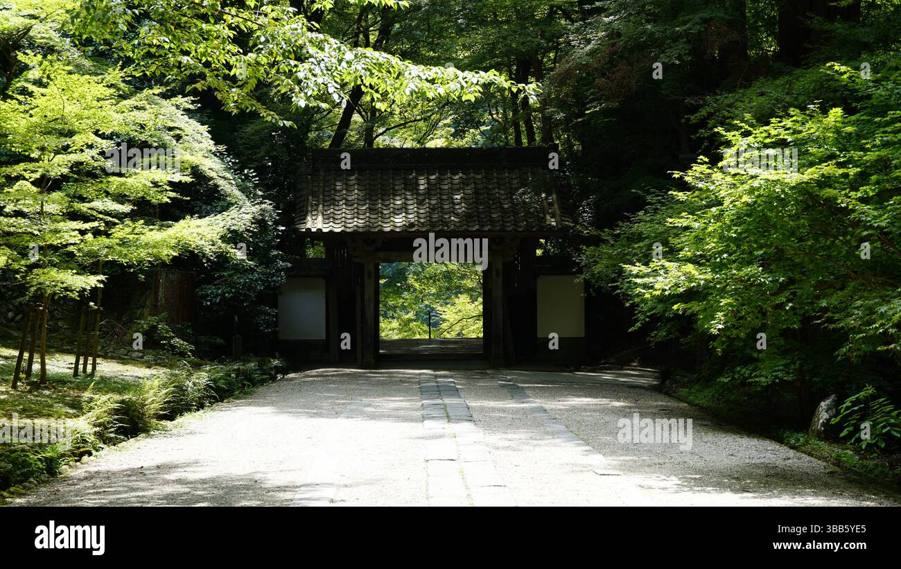 Temples of Nagoya in Summer — Serene Sacred Spaces Stock Photo - Alamy