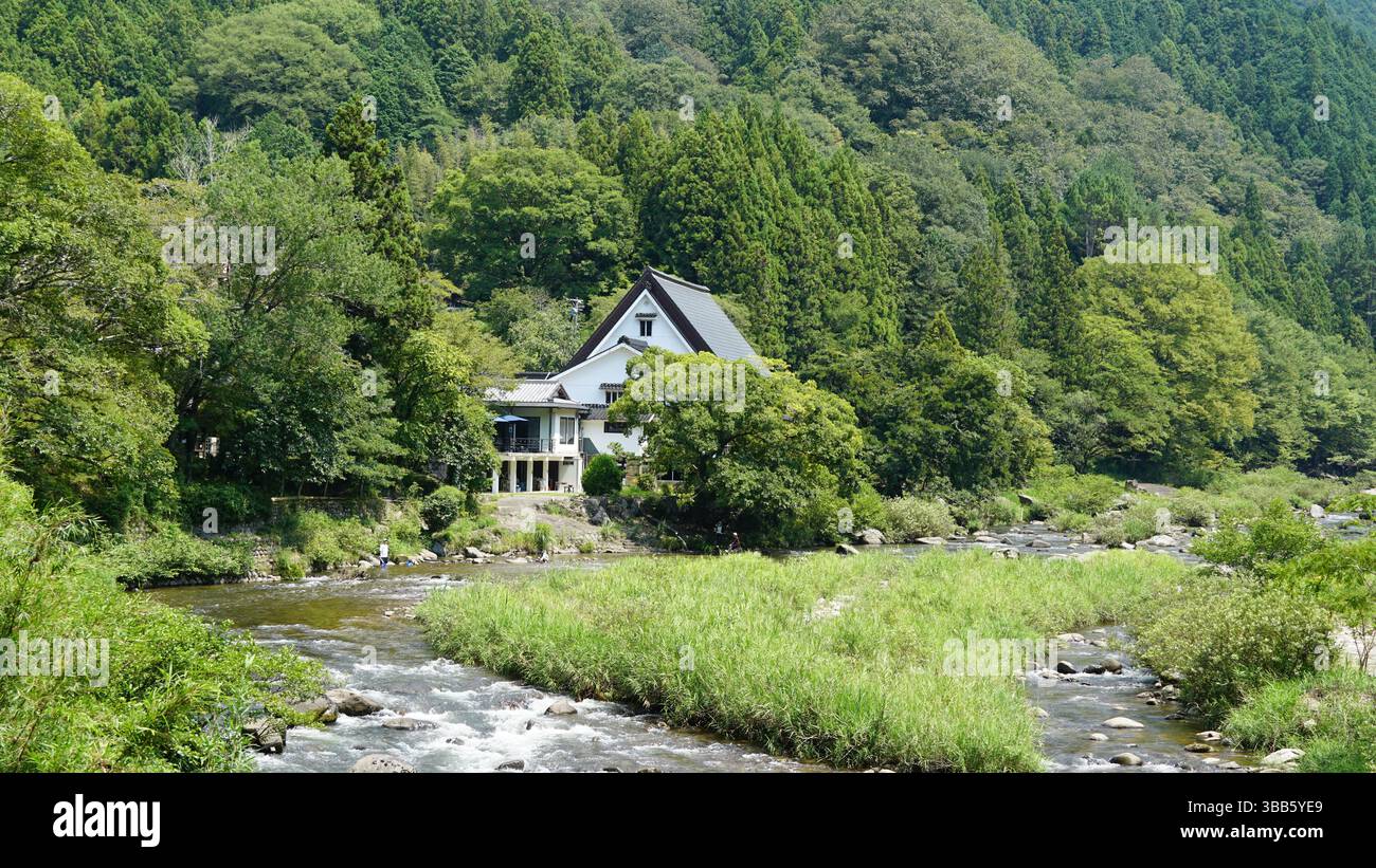 Temples of Nagoya in Summer — Serene Sacred Spaces Stock Photo - Alamy
