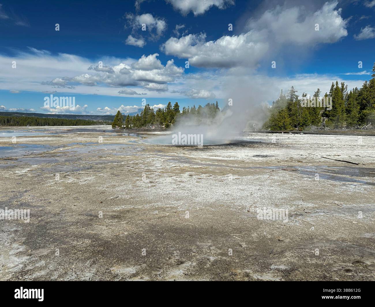 You are viewing the lower Geyser Basin area of Yellowstone National ...