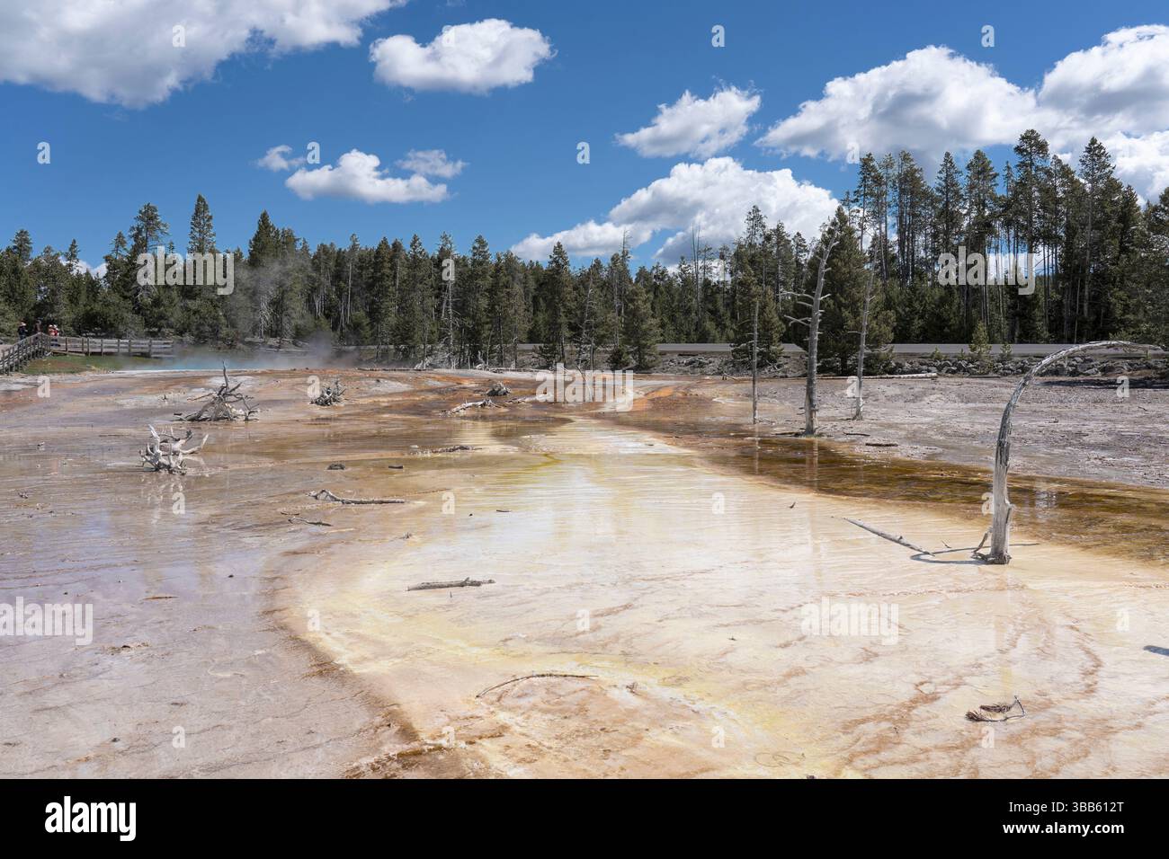 You are viewing the lower Geyser Basin area of Yellowstone National ...