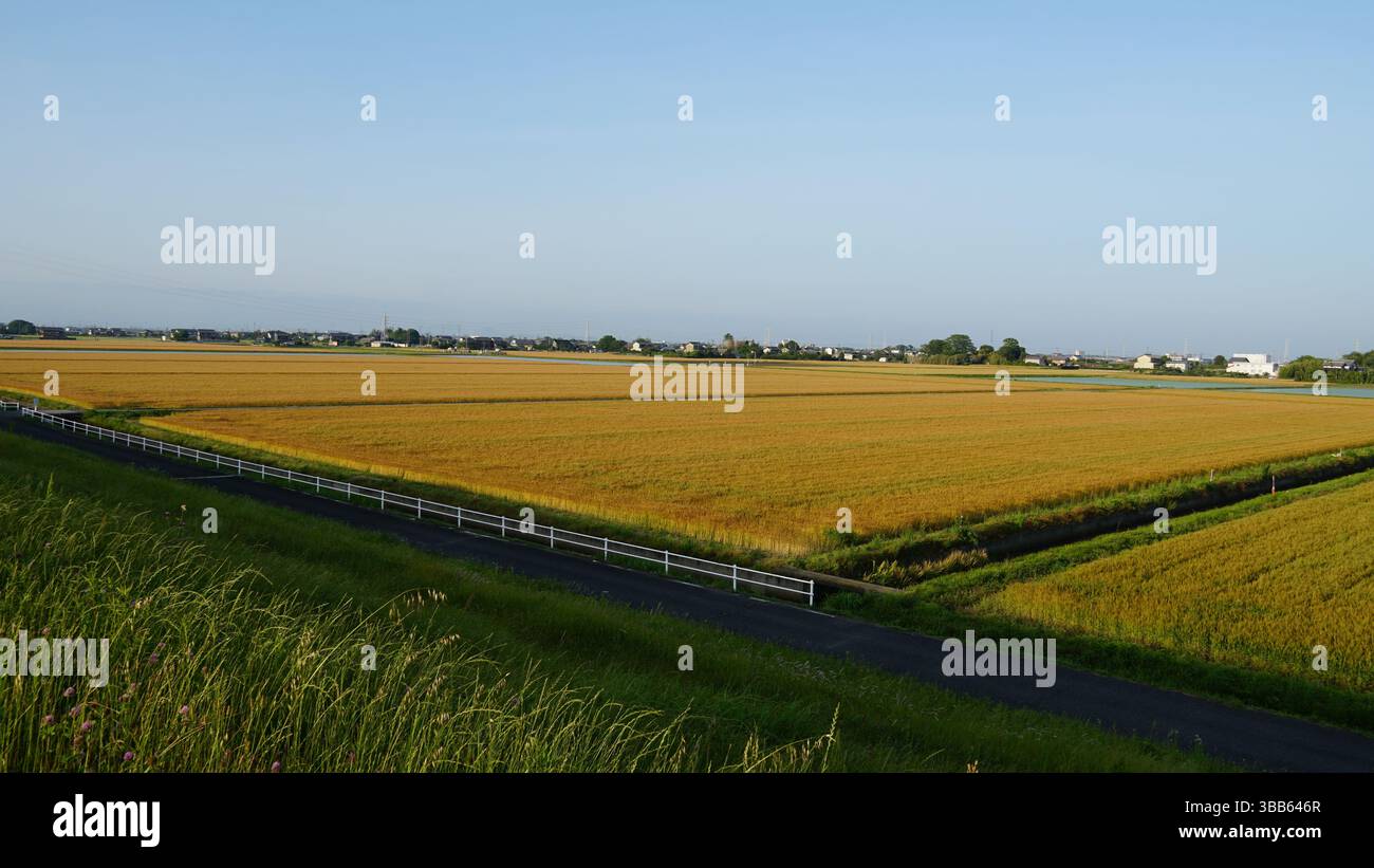 Scenic Views of Ise-Shima National Park – Toba and Shima Coastline ...