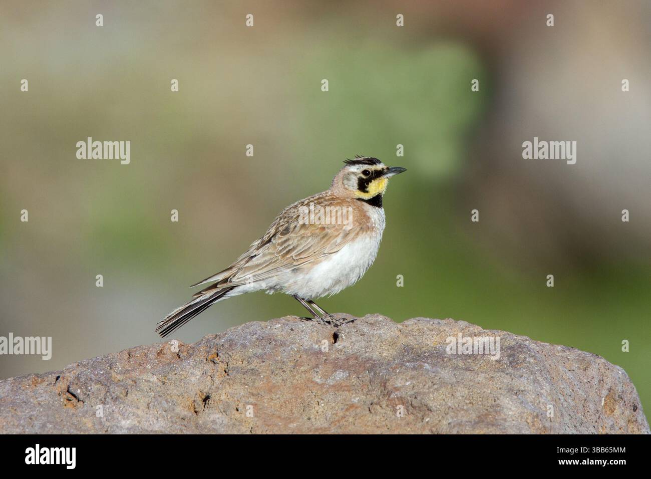 Closing in on north america hi-res stock photography and images - Alamy